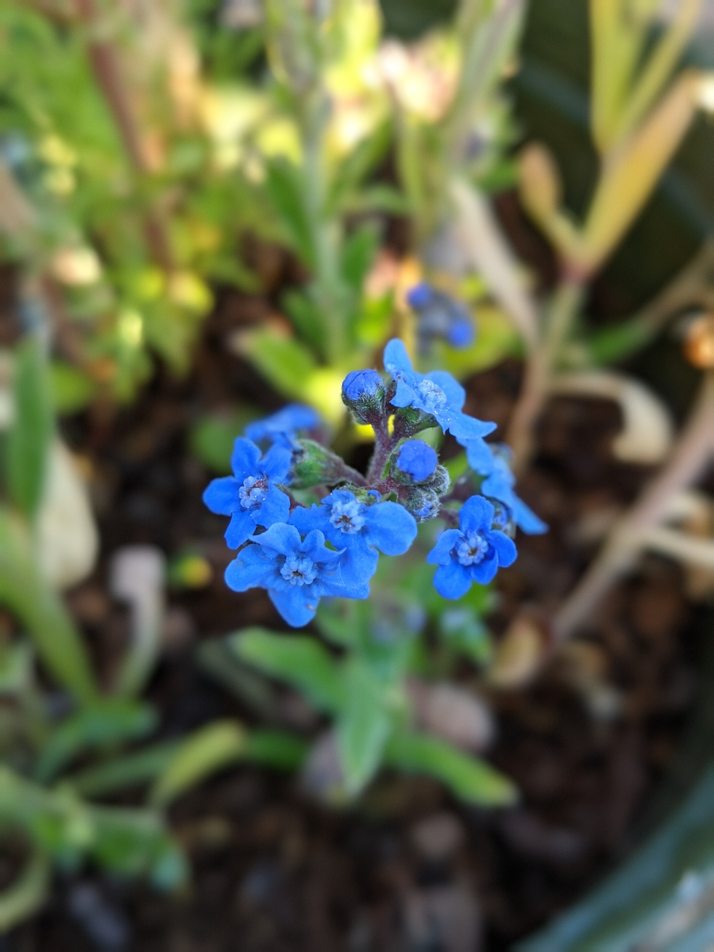 About the Workshop Fascilitator – Embodied nature writing workshop